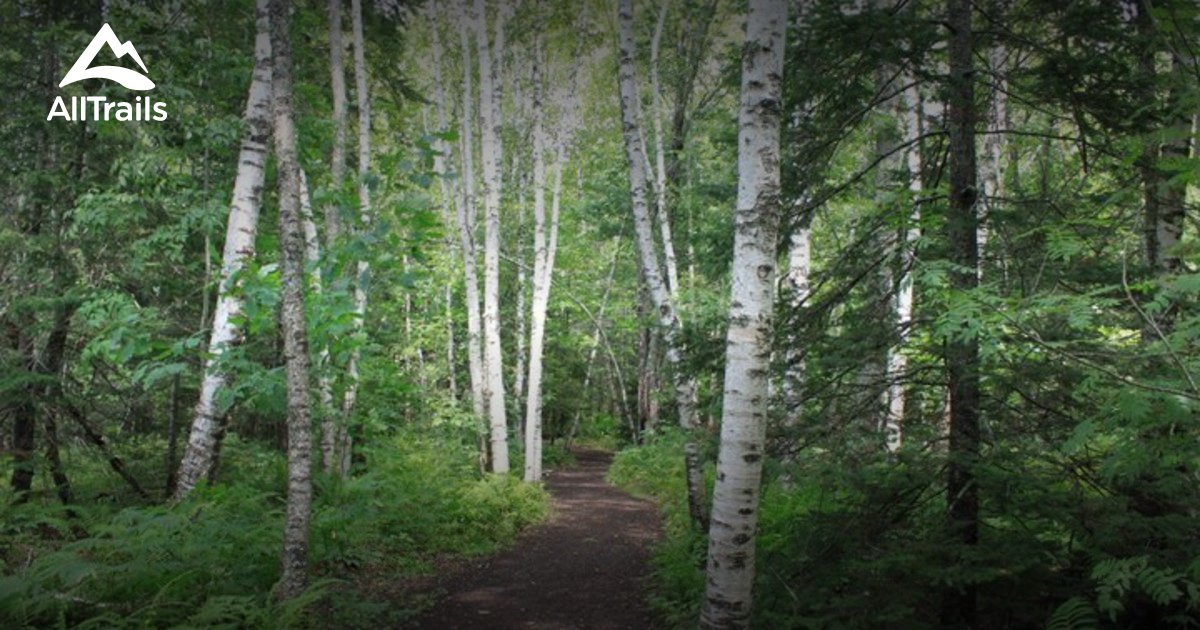 Best Trails in Moose Point State Park - Maine | AllTrails