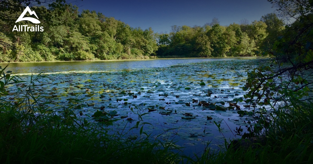 Best hikes and trails in Red Haw State Park | AllTrails