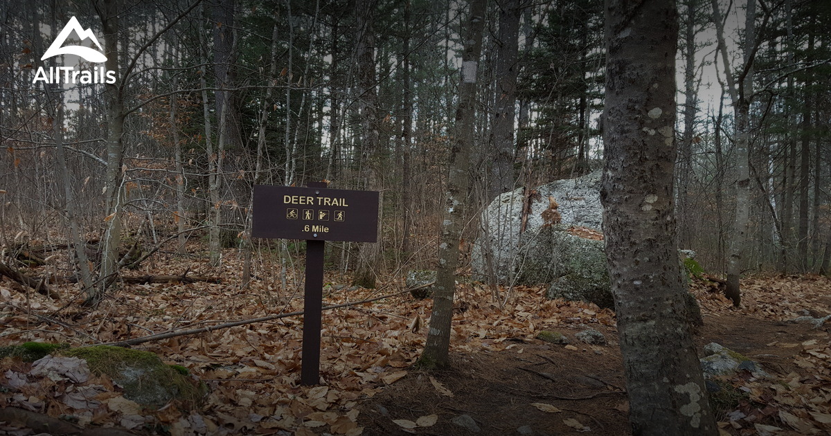 Best forest trails in Range Ponds State Park | AllTrails
