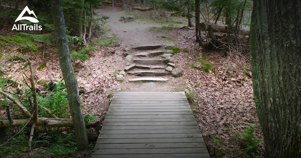 Best Trails in Wolfes Neck Woods State Park - Maine | AllTrails