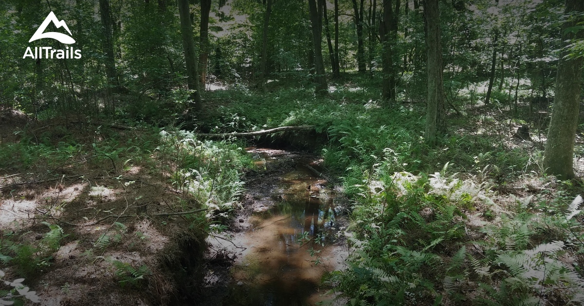 Die Besten Reitwege in Cedarville State Forest | AllTrails
