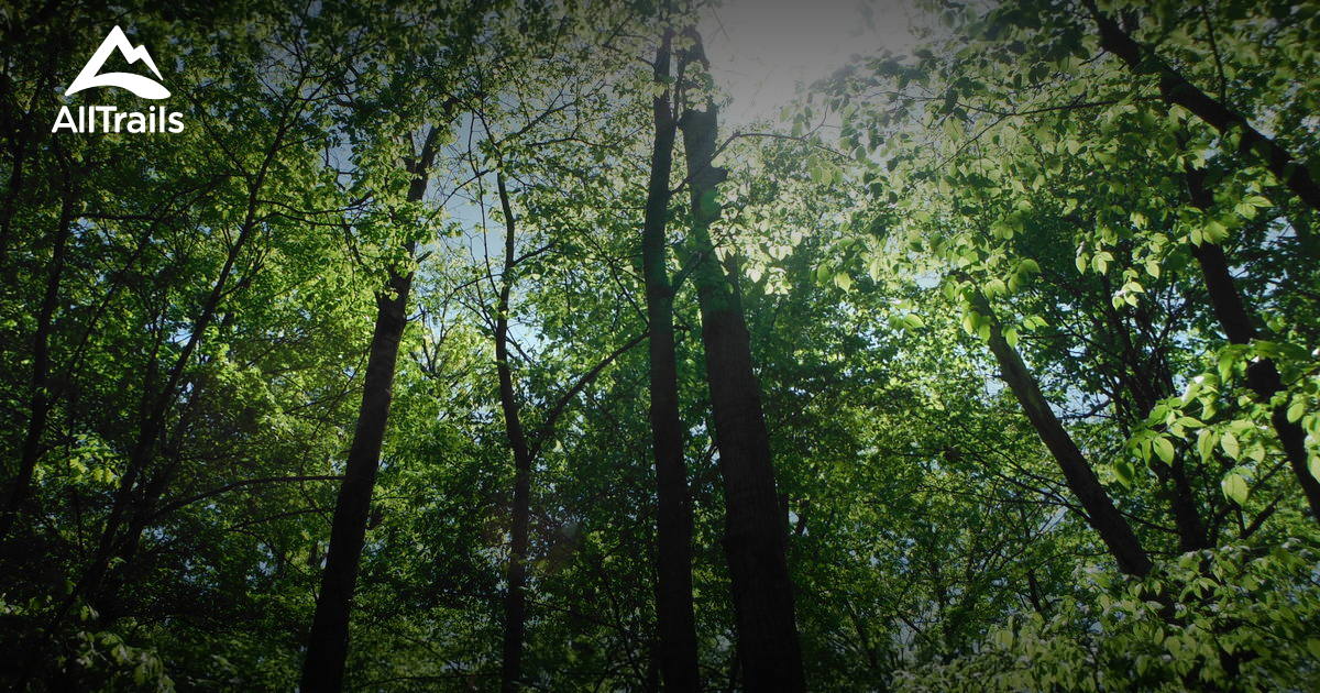 Best Trails in Yellow River State Forest - Iowa | AllTrails