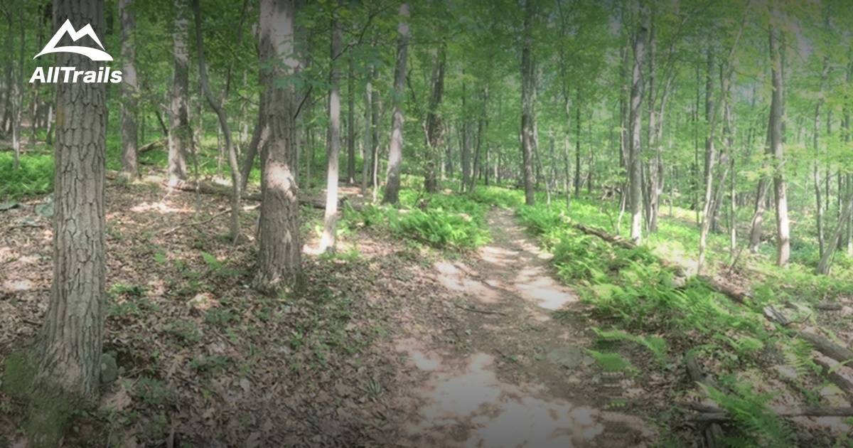 Best Trails in Gambrill State Park | AllTrails.com