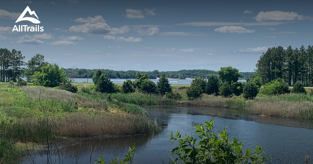 Hart-Miller Island State Park: Die besten Routen zum Wandern | AllTrails