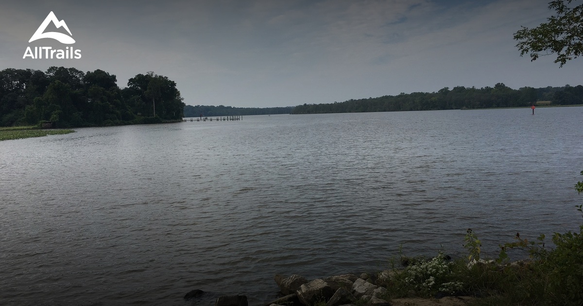 Best hikes and trails in Martinak State Park | AllTrails