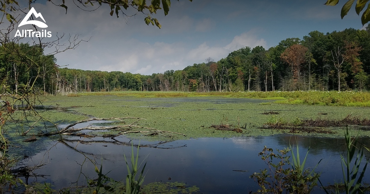 Best hikes and trails in North Point State Park | AllTrails