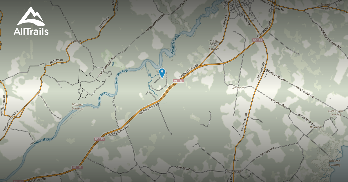 Best Trails in Pocomoke River State Park - Maryland | AllTrails