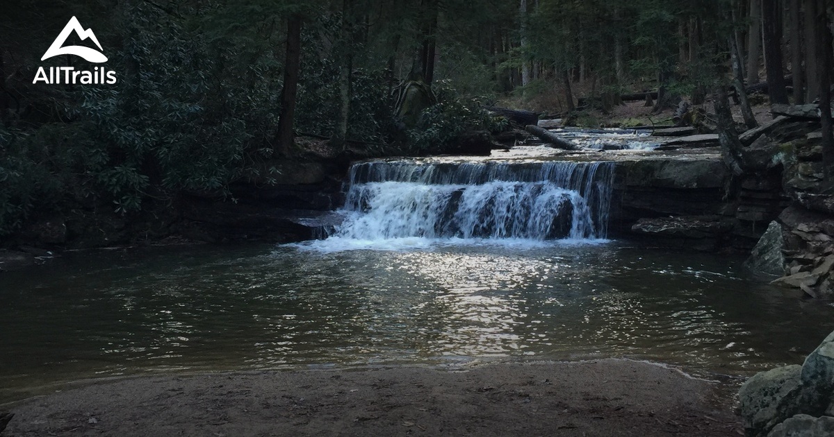 Best Trails in Swallow Falls State Park | AllTrails.com