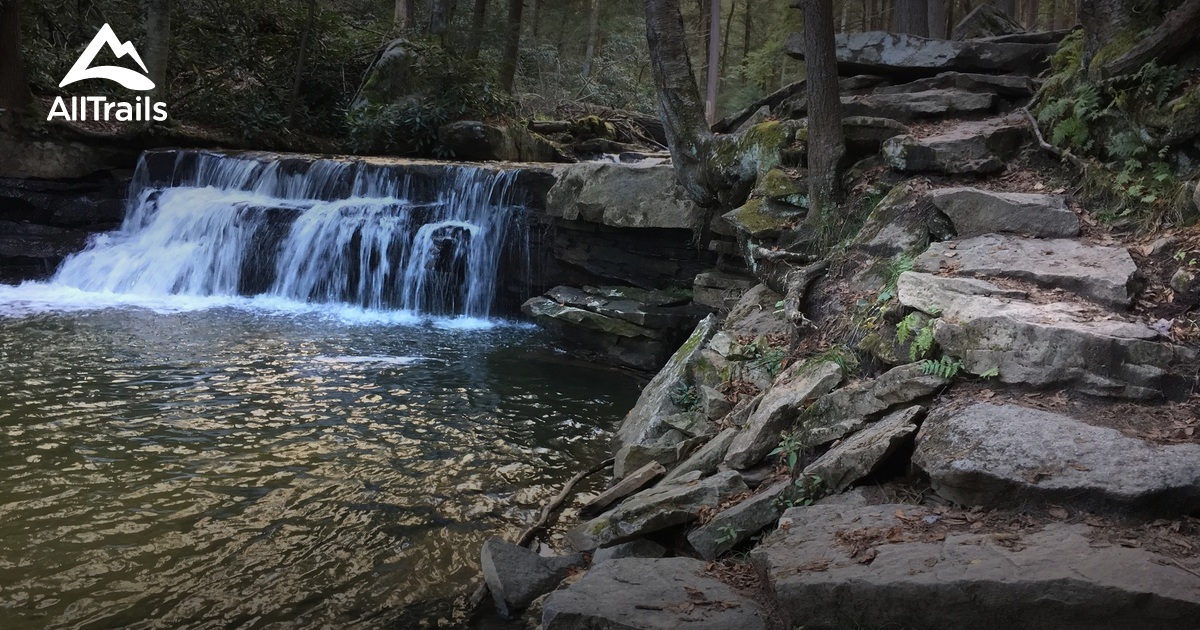 Best Trails in Swallow Falls State Park - Maryland | AllTrails