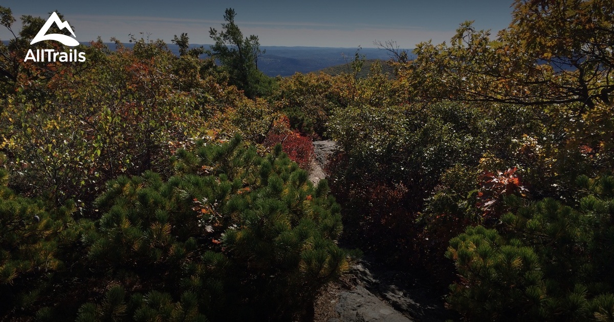 Best Trails in Beartown State Forest - Massachusetts | AllTrails