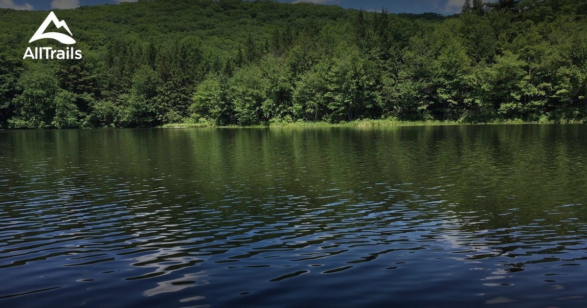 Best Trails in Beartown State Forest - Massachusetts | AllTrails