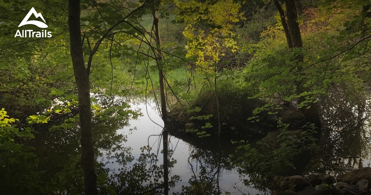 Best hikes and trails in Beaver Brook Reservation | AllTrails