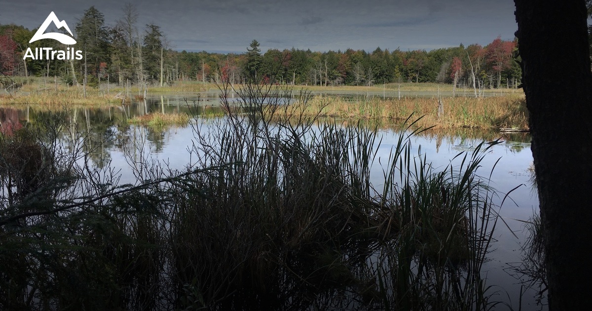 Daughter of the American Revolution (D.A.R.) State Forest : les ...