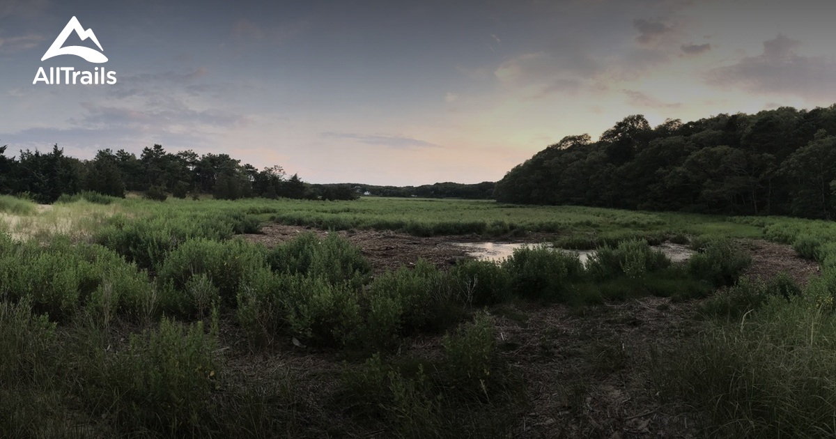 Best hikes and trails in Ellisville Harbor State Park | AllTrails