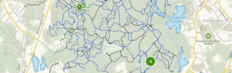 Best Trails in F. Gilbert Hills State Forest - Massachusetts | AllTrails