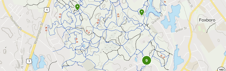Best trails in F. Gilbert Hills State Forest, Massachusetts | AllTrails