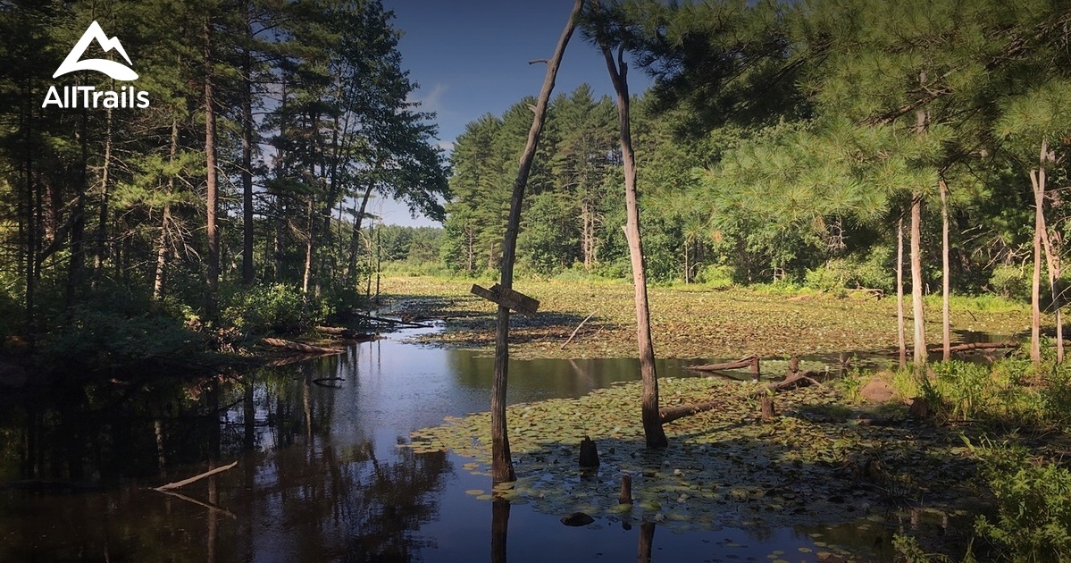 Best Trails in Great Brook Farm State Park - Massachusetts | 80 Photos ...
