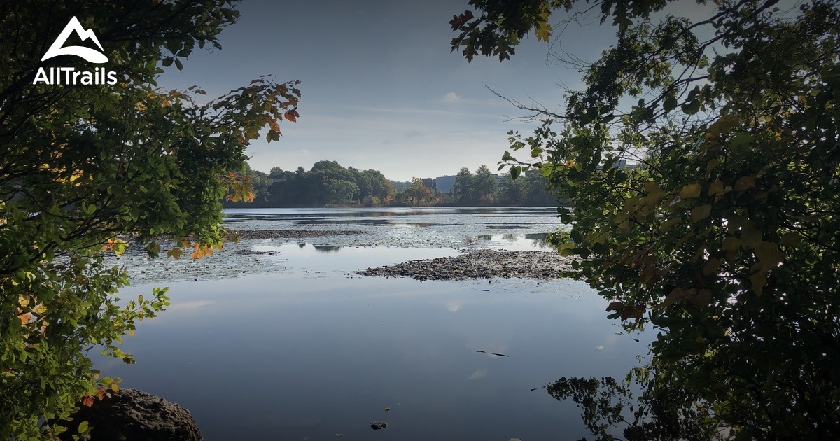 Best hikes and trails in Hammond Pond Reservation | AllTrails
