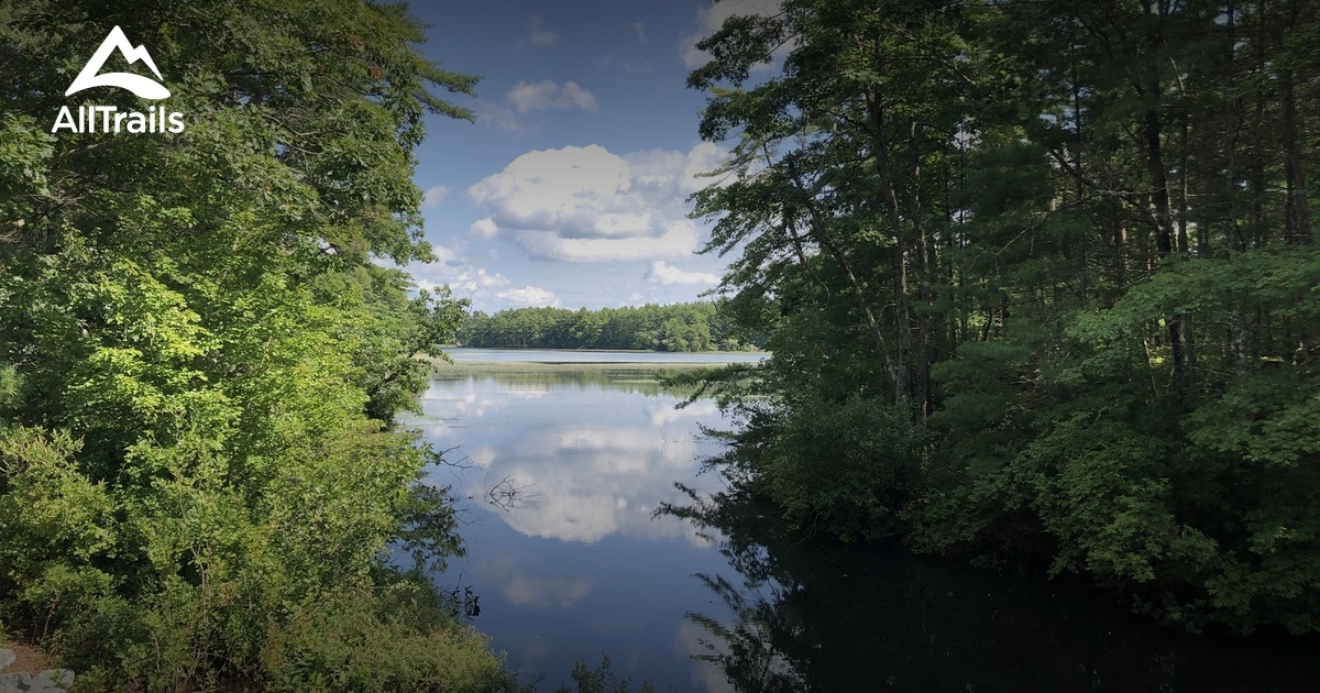Best forest trails in Massasoit State Park | AllTrails