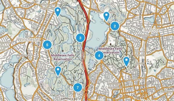 Best Trails in Middlesex Fells Reservation - Massachusetts | AllTrails