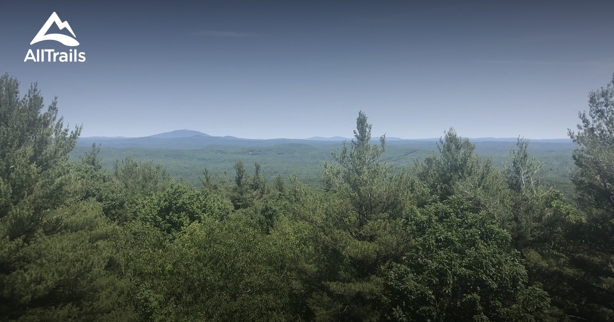 Best hikes and trails in Mount Grace State Forest | AllTrails