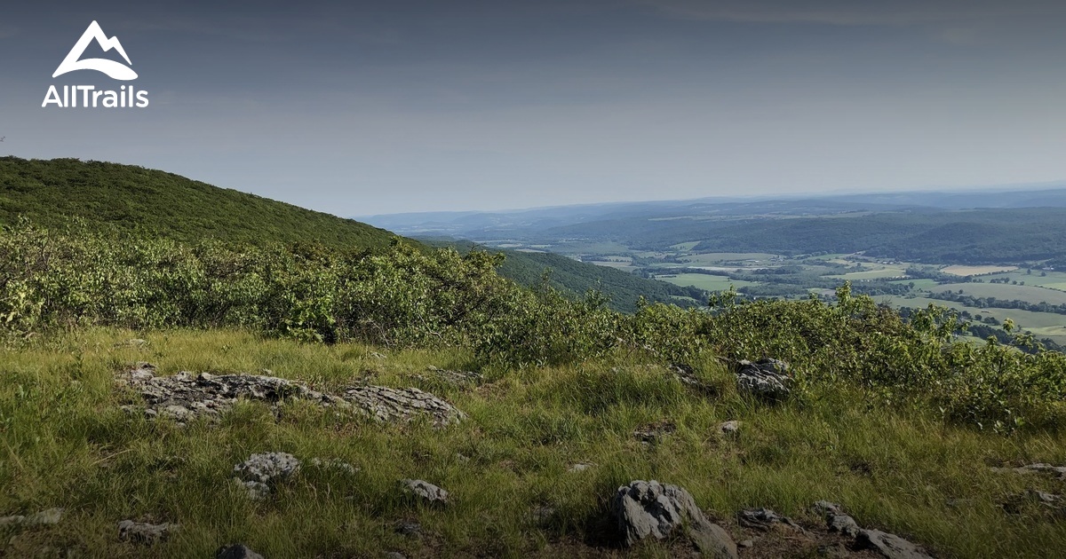 Best Trails in Mount Washington State Forest - Massachusetts | AllTrails