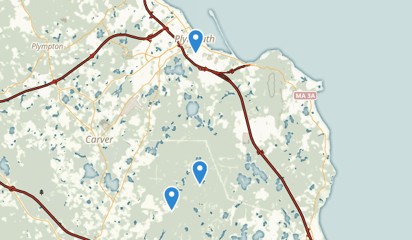 Best Trails in Myles Standish State Forest | AllTrails.com