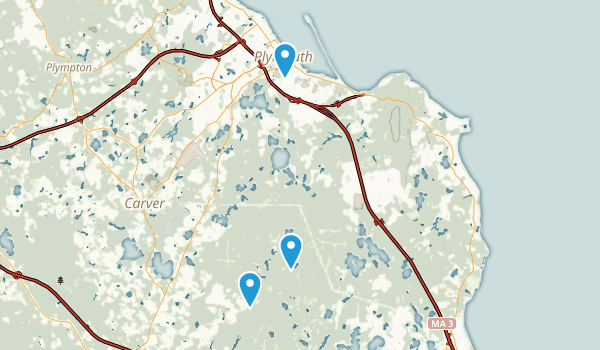 Best Trails in Myles Standish State Forest | AllTrails.com