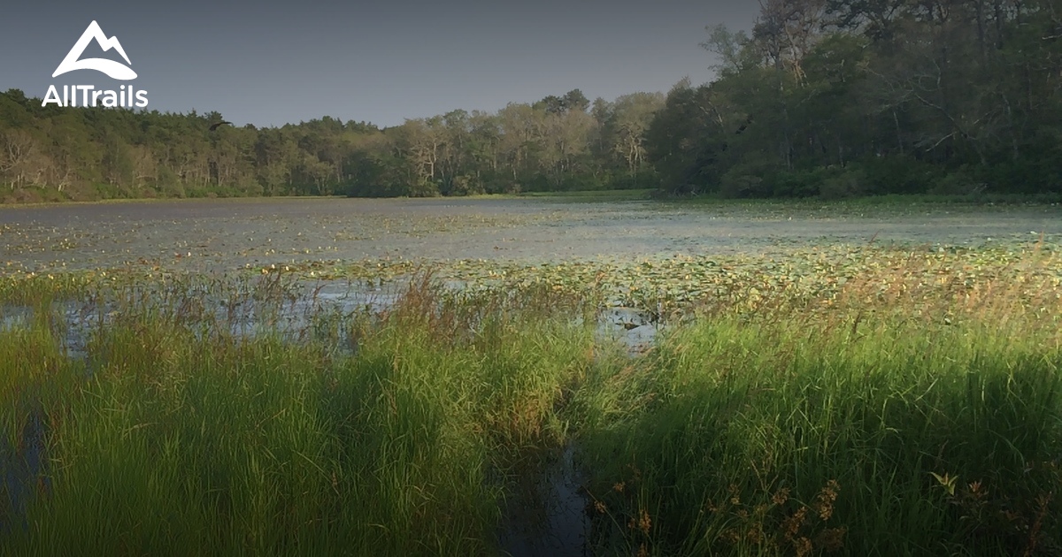 Best Trails in Nickerson State Park - Massachusetts | AllTrails