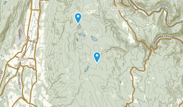 Best Trails in Savoy Mountain State Forest - Massachusetts | AllTrails