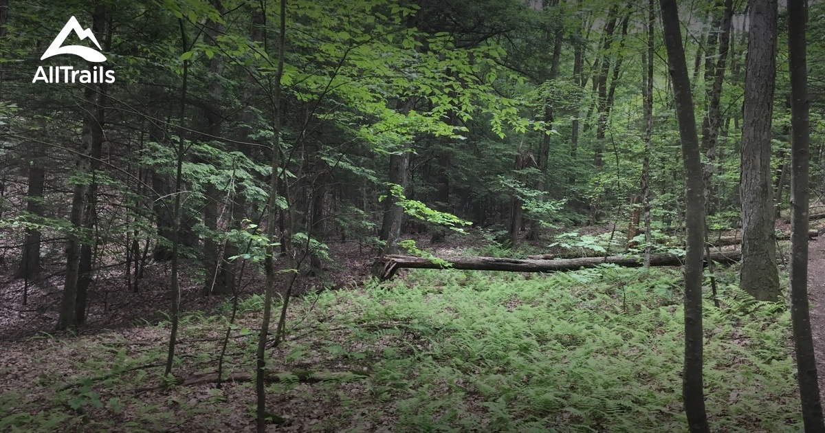 Best Trails in Skinner State Park - Massachusetts | AllTrails