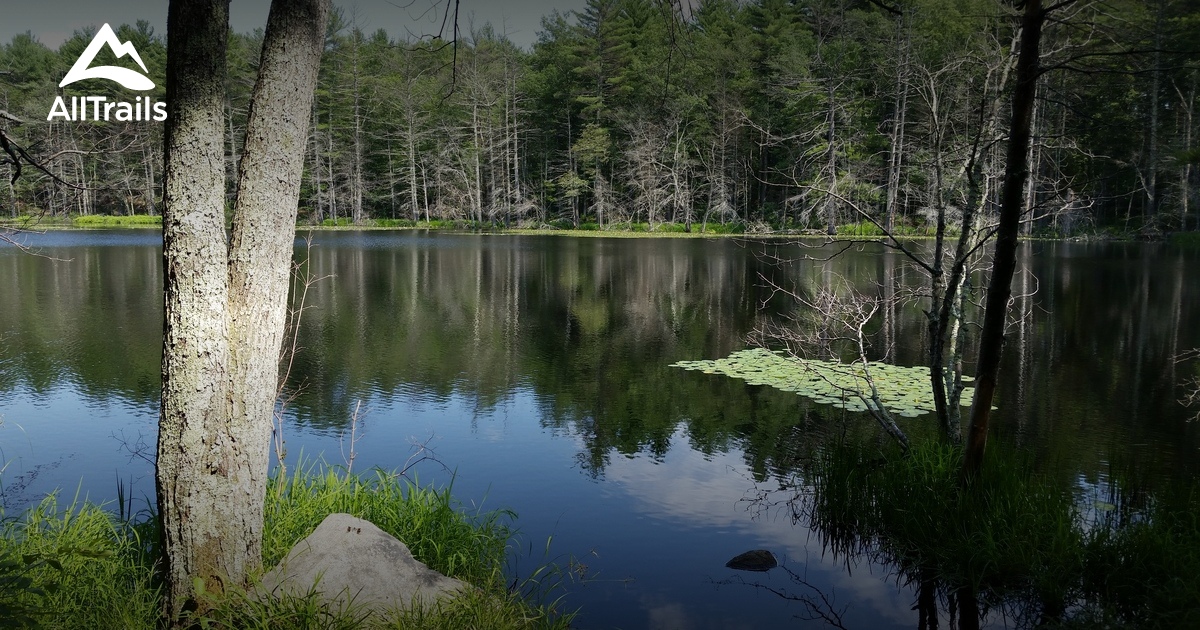 Best hikes and trails in Upton State Forest | AllTrails
