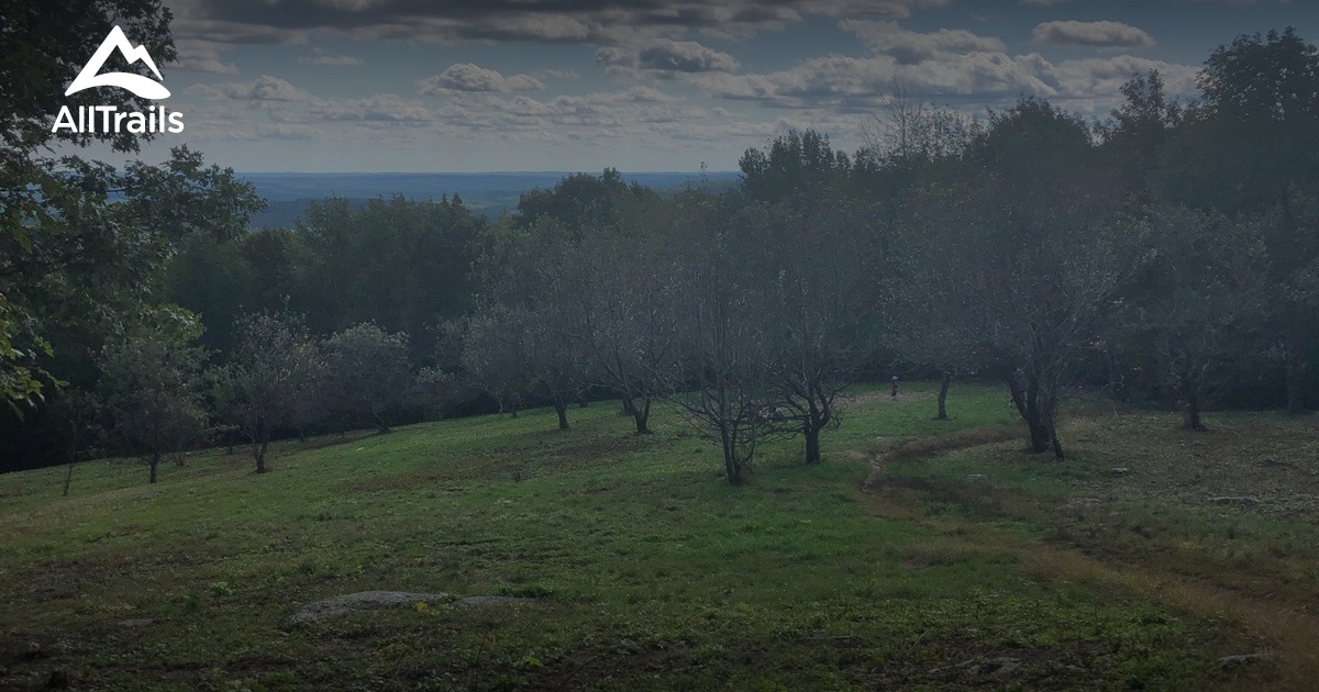 Best Trails in Wachusett Mountain State Reservation - Massachusetts ...