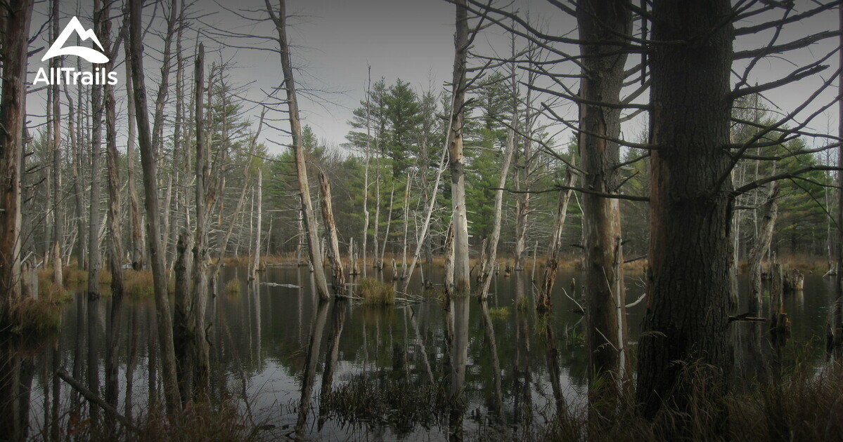 10 Best river trails in Ware River Watershed | AllTrails