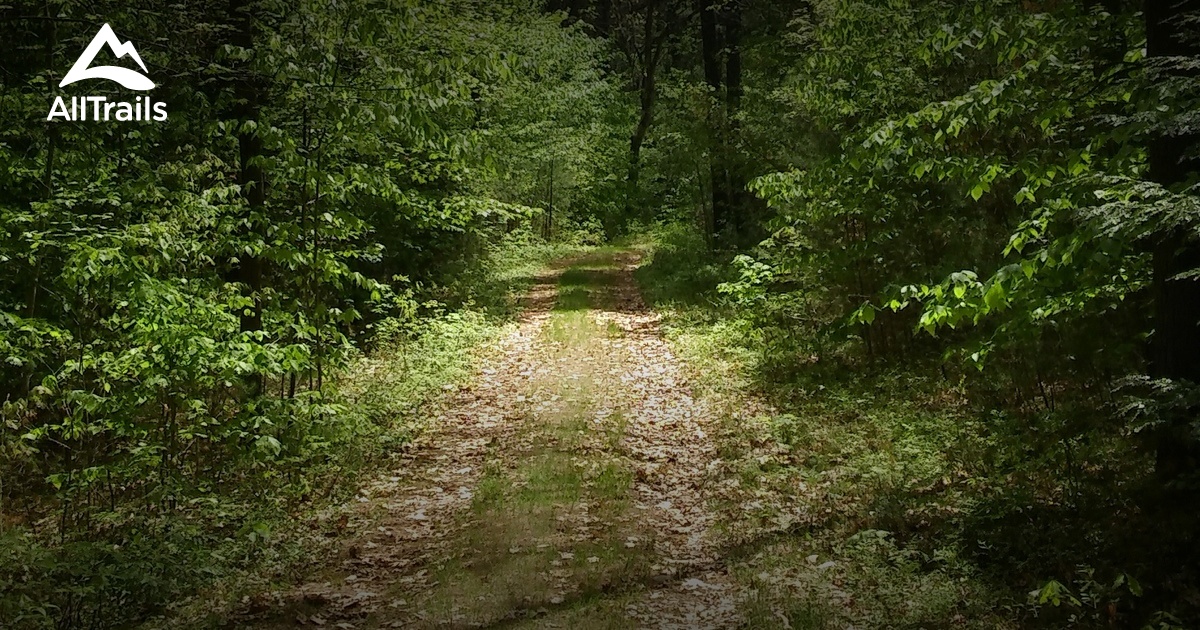 Best Trails in Wendell State Forest - Massachusetts | AllTrails