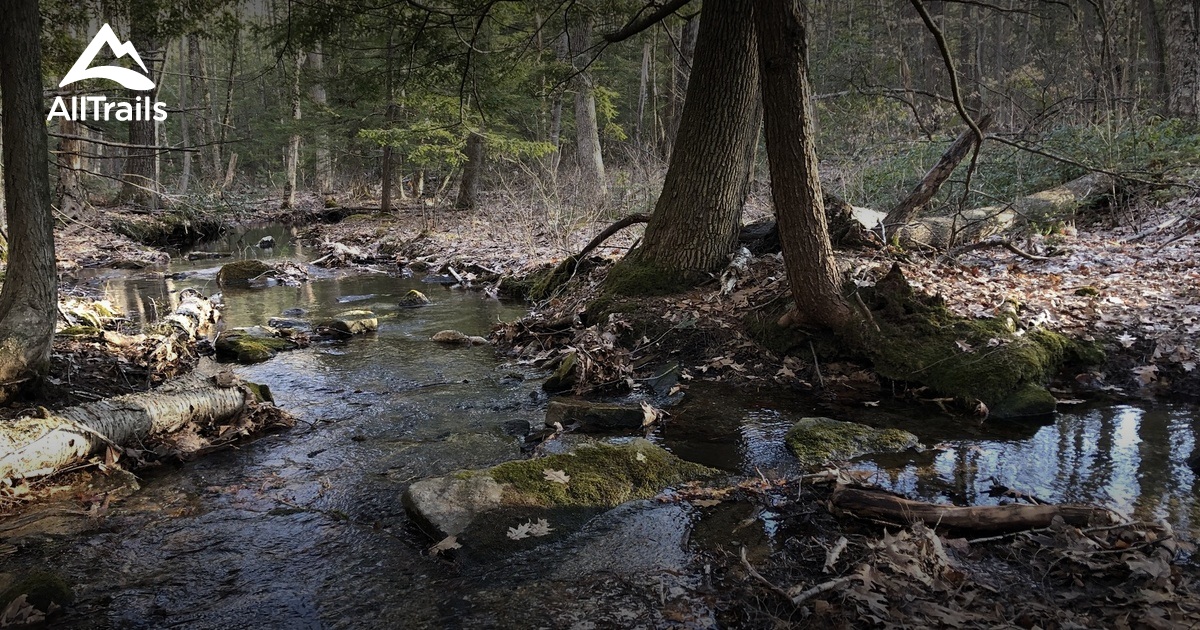 10 Best forest trails in Wendell State Forest | AllTrails