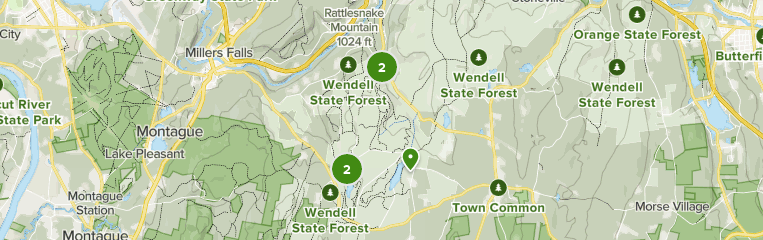 Best Trails in Wendell State Forest | AllTrails