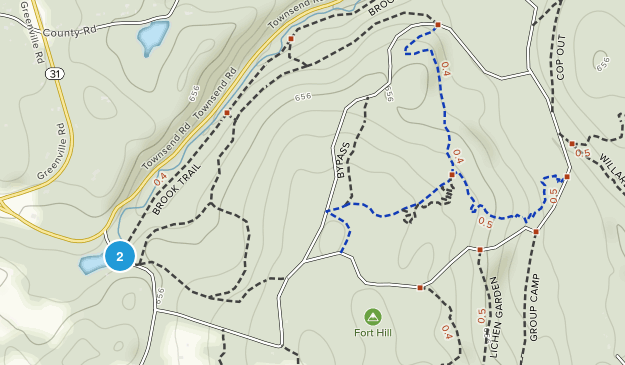 Best Trails in Willard Brook State Forest - Massachusetts | AllTrails