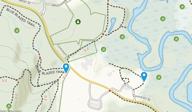 Best Trails in Wilson Mountain Reservation - Massachusetts | AllTrails