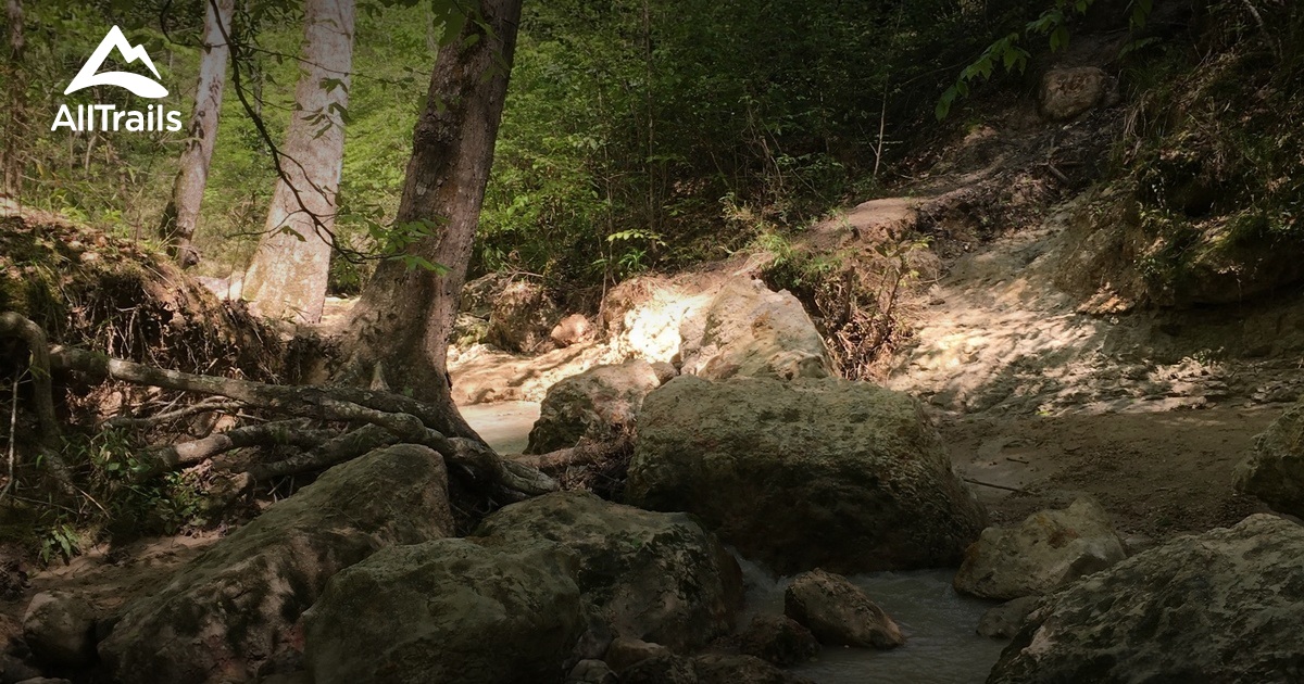 Best Trails in Clark Creek Natural Area - Mississippi | AllTrails