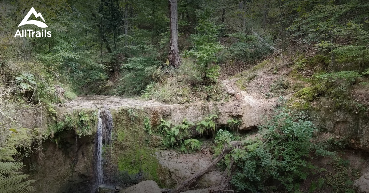 Best Trails in Clark Creek Natural Area - Mississippi | AllTrails