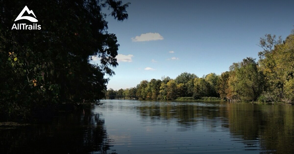Lake Fausse Pointe State Park : les meilleures randonnées pour promener ...