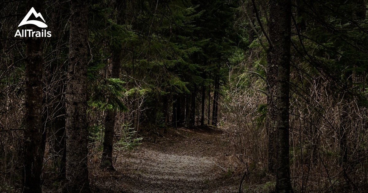 Best hikes and trails in Hayes Lake State Park | AllTrails