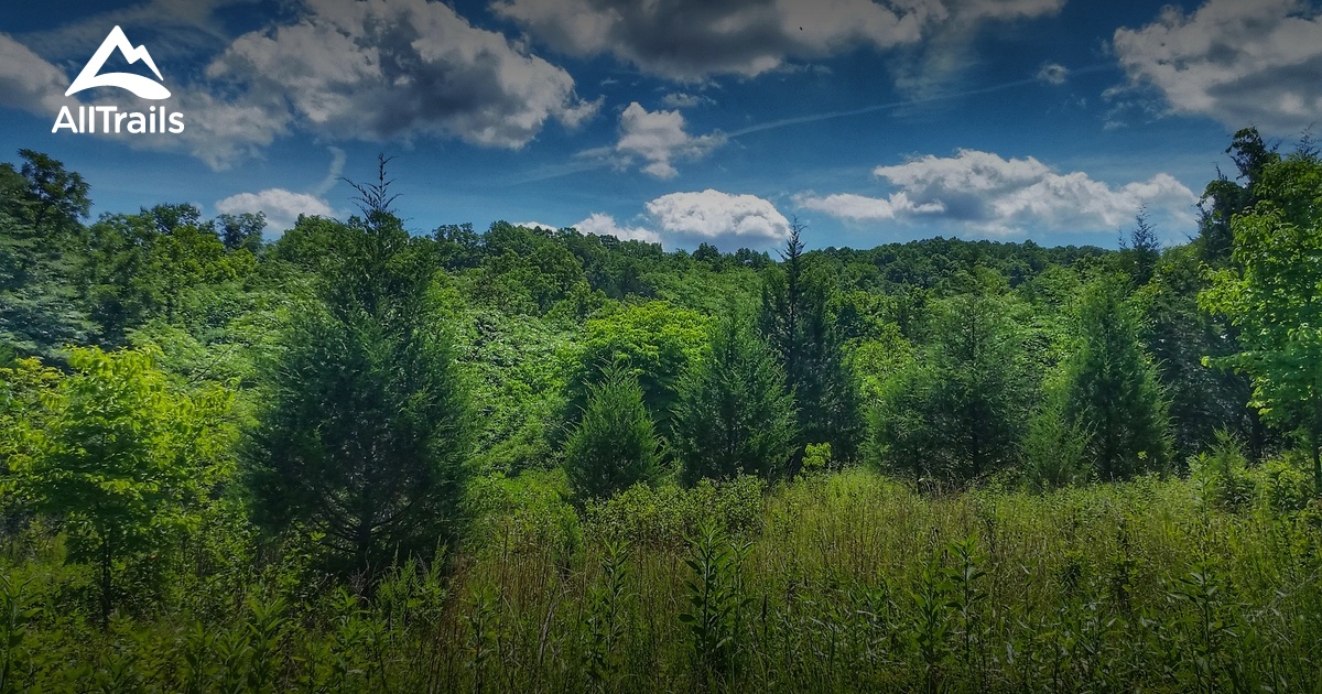 Bennett Spring State Park: Die besten Routen zum Wandern | AllTrails