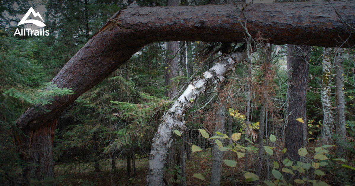 Best Trails in Itasca State Park - Minnesota | AllTrails