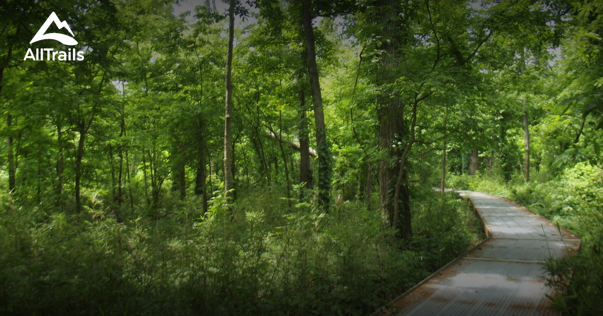 Die Besten Kurzen Routen in Big Oak Tree State Park | AllTrails