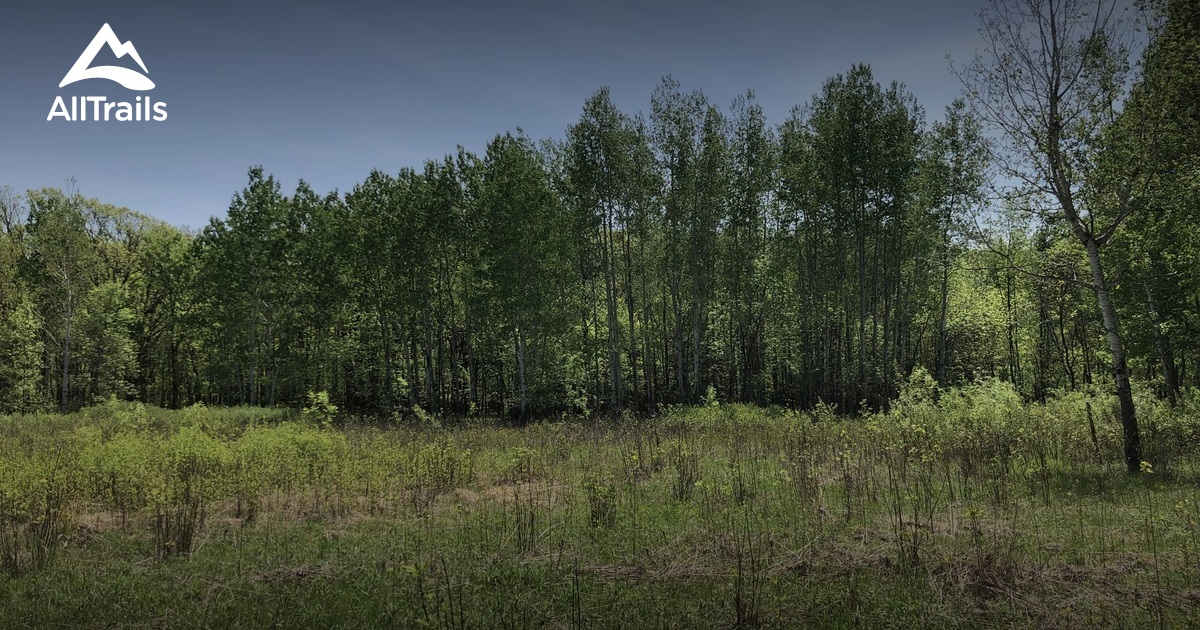 Best Trails in Rice Lake State Park - Minnesota | AllTrails