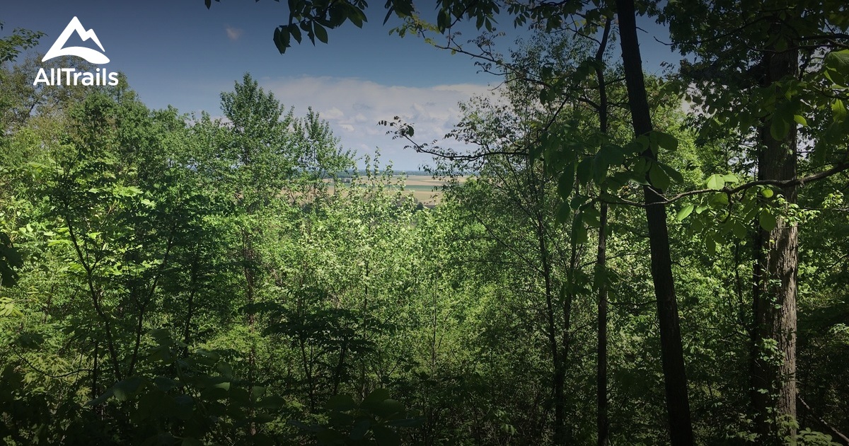 Best hikes and trails in Morris State Park | AllTrails