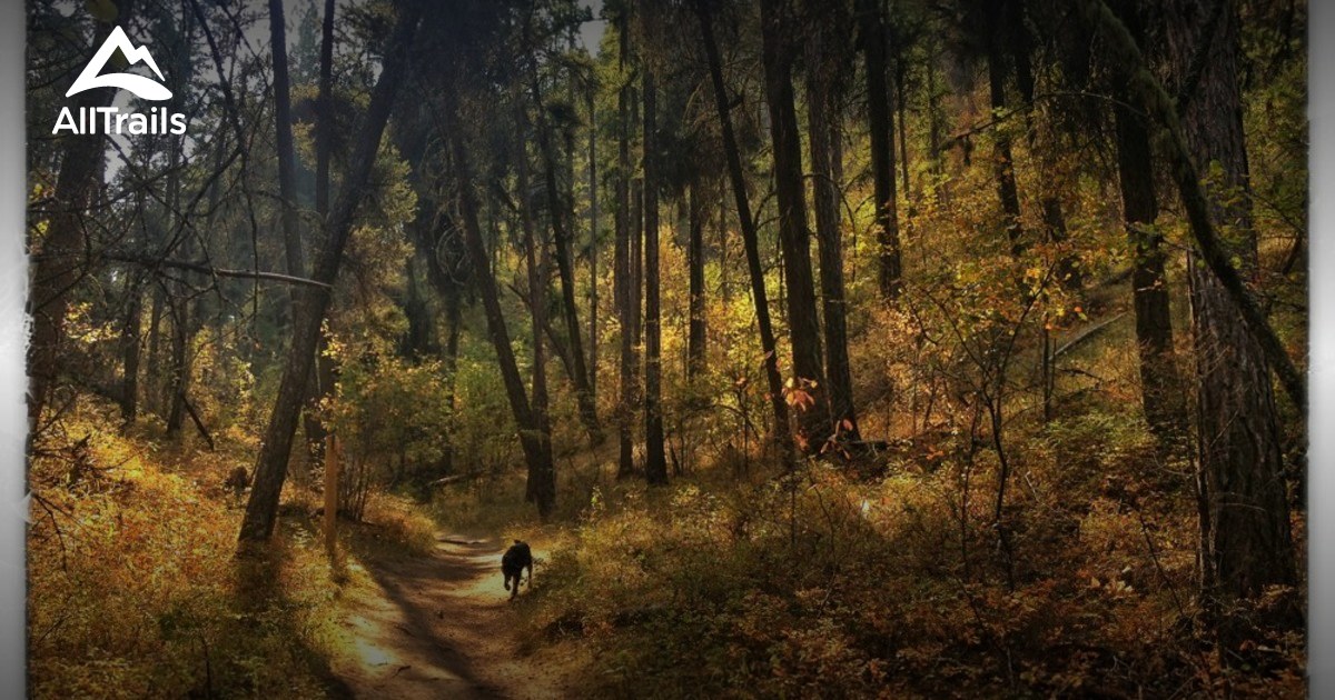 Best Trails in Lone Pine State Park - Montana | AllTrails