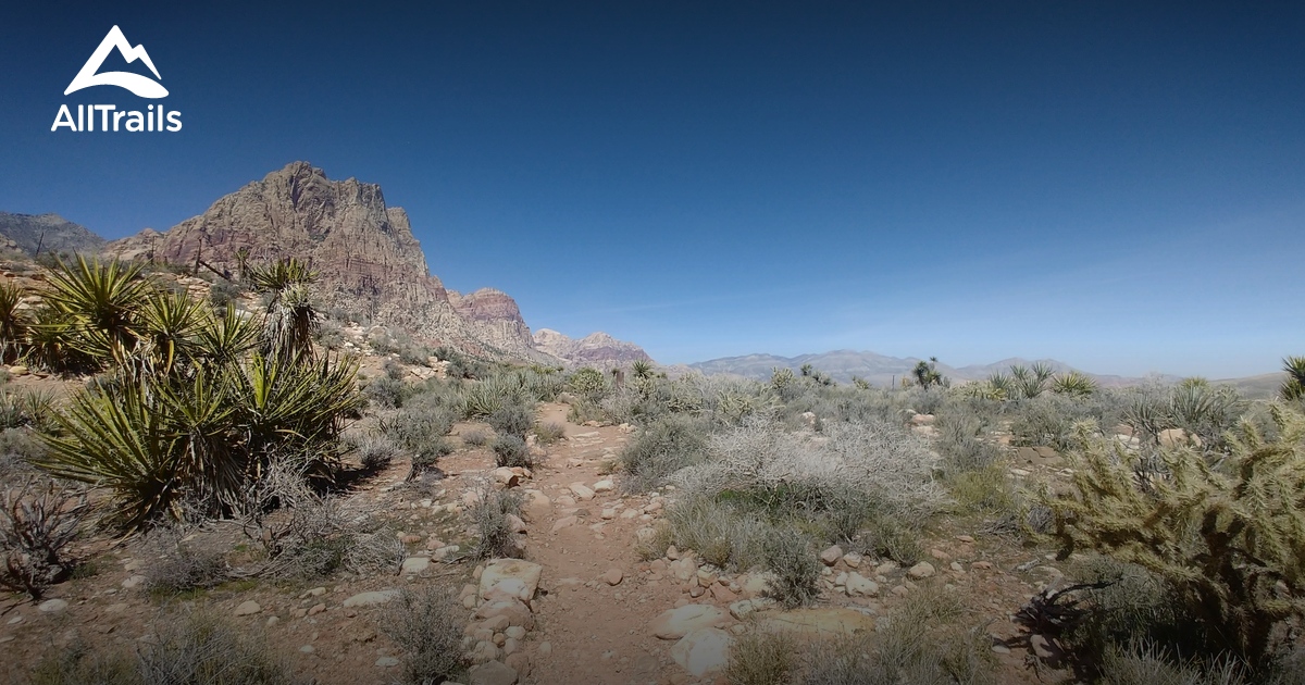 Best hikes and trails in Spring Mountain Ranch State Park | AllTrails